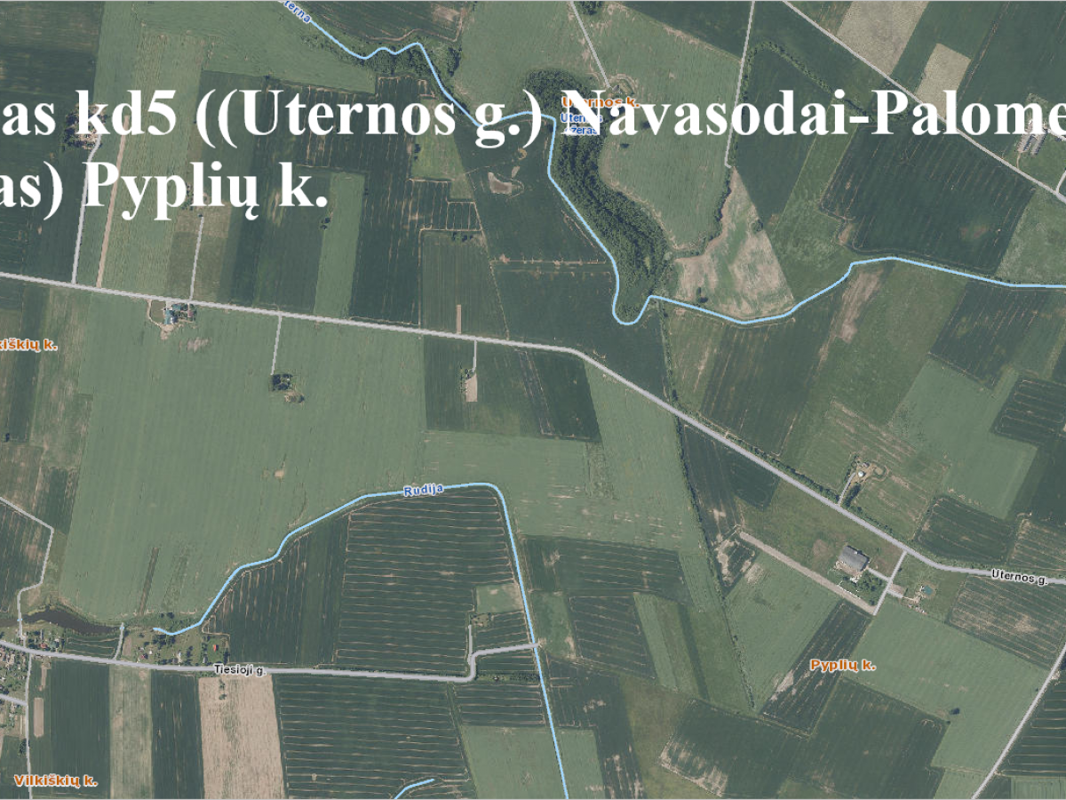 Nuo 2024 m. vasario 13 d. ant kelio (Navasodai-Palomenės kelias) Pyplių ...